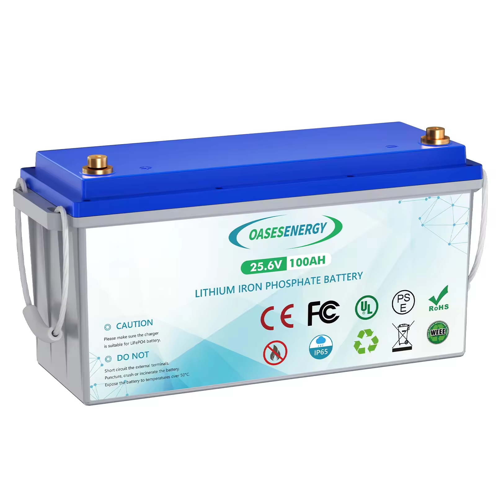 12V/24V/36V/48V LiFePO4 Battery – OASESENERGY
